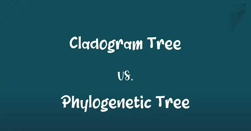 Cladogram vs Phylogenetic Tree: Key Differences Explained Simply
