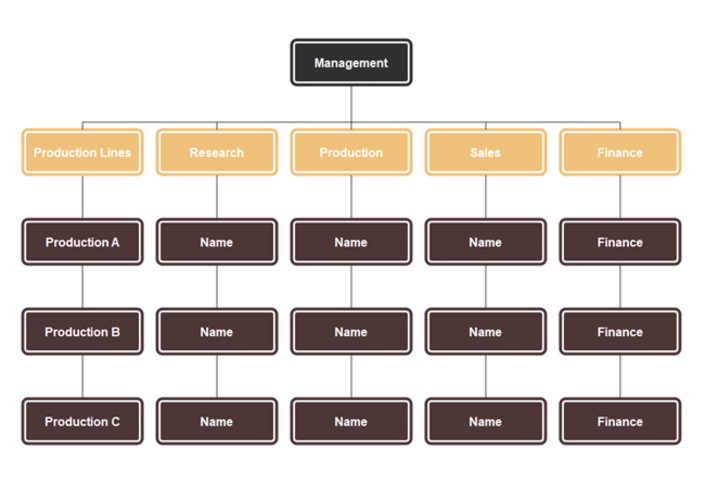 Hospital Organizational Chart: How to Create and Use